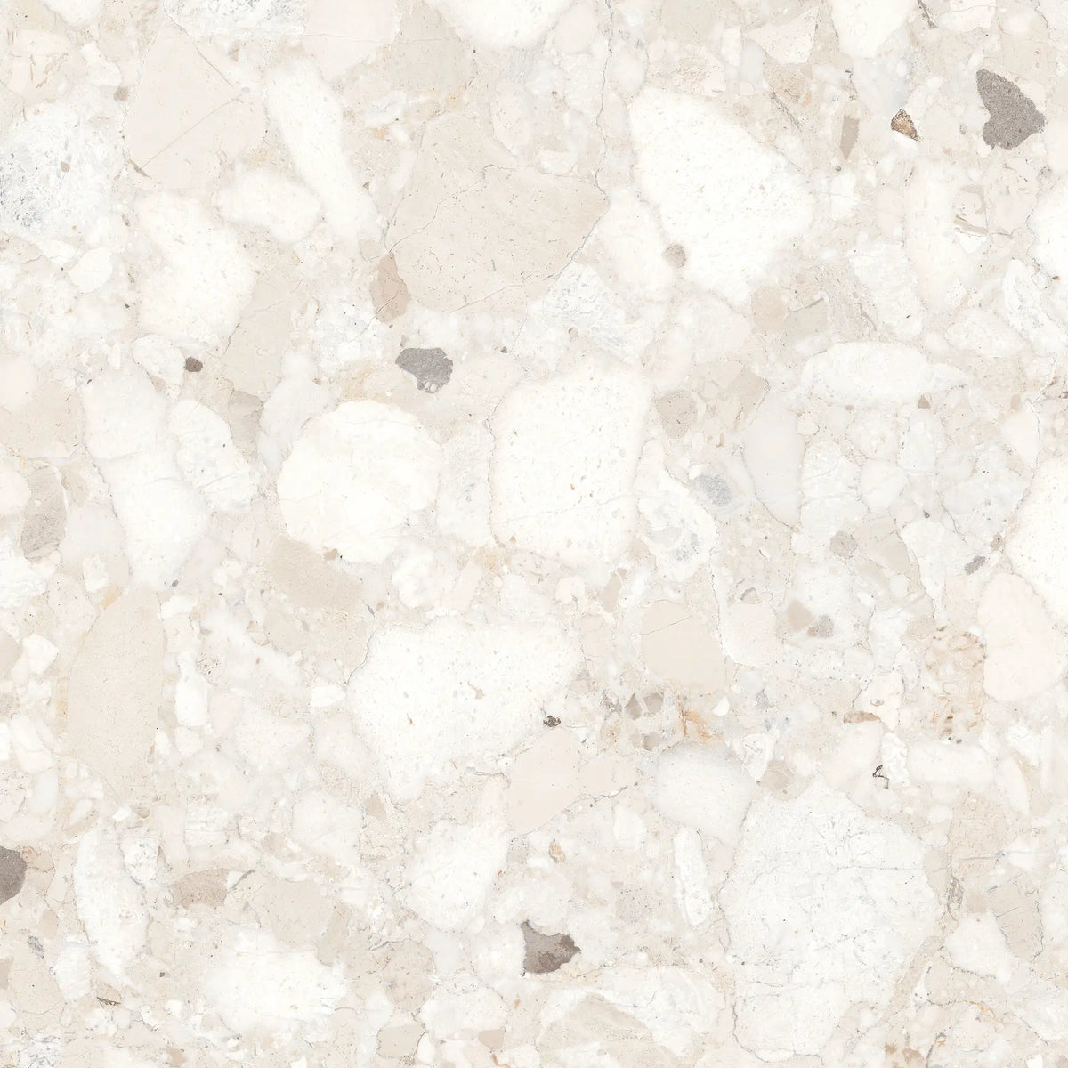 CUT TILE SAMPLE Venice Ivory Terrazzo Tile Polished Ivory 60cm x 60cm ...
